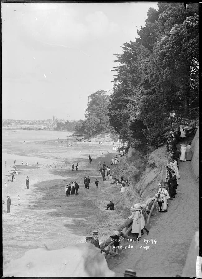 People On Shelly Beach, Auckland Picture. Image: 222311863
