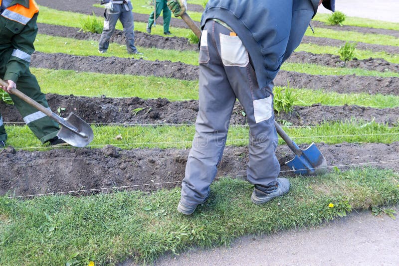 People with Shovels Dig the Ground, Make Flower Beds, Gardeners Stock ...