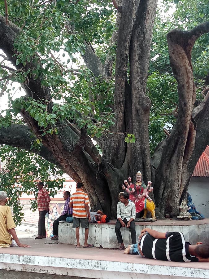 People are Sitting Under the Tree Compound of Temple Editorial Photo ...