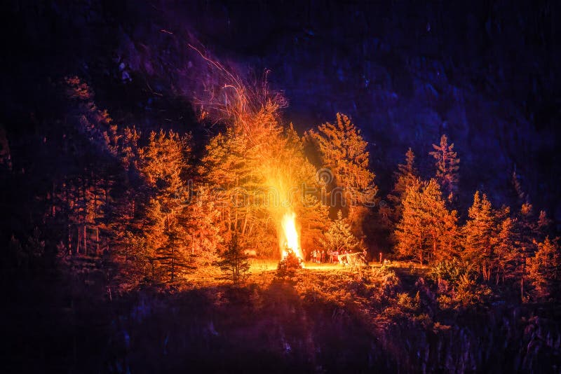 People Standing and Looking at the Night Campfire in the Forest Stock ...
