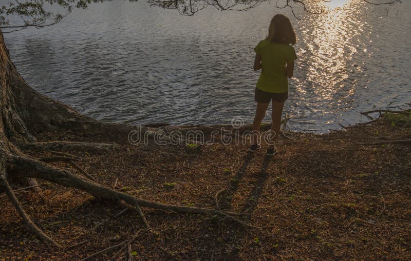 People Standing and Looking at the View of the Outdoor Park during ...