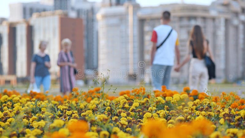 People Stroll through the City among the Flower Beds. Stock Image ...