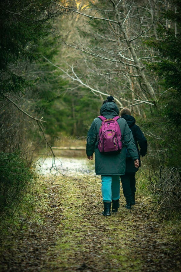 Two Persons Strolling Along Forest Path Stock Photo - Image of ...