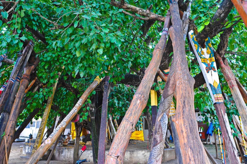 The People Support the Tree Stock Image - Image of believe, help: 51617233