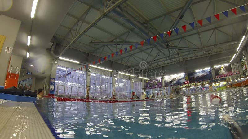 Swimming Pool Deck Construction Roney Palace Miami Beach 2024 Stock ...