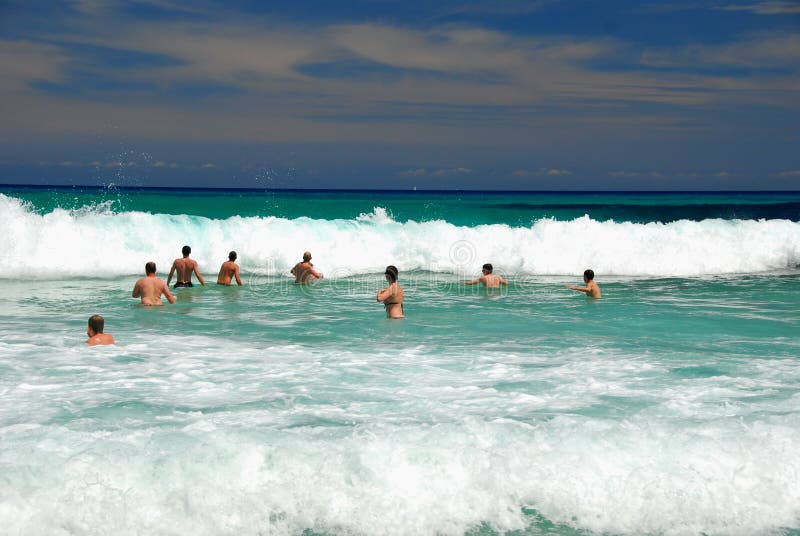 People swimming stock photo. Image of wild, tropical, water - 8382466