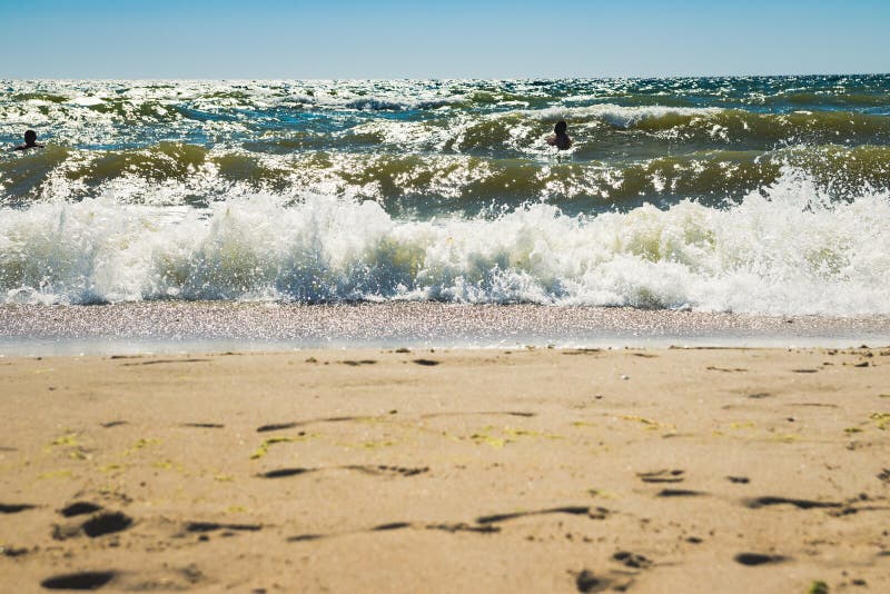 People Swimming in the Rough Sea. View from the Sandy Beach Stock Image ...