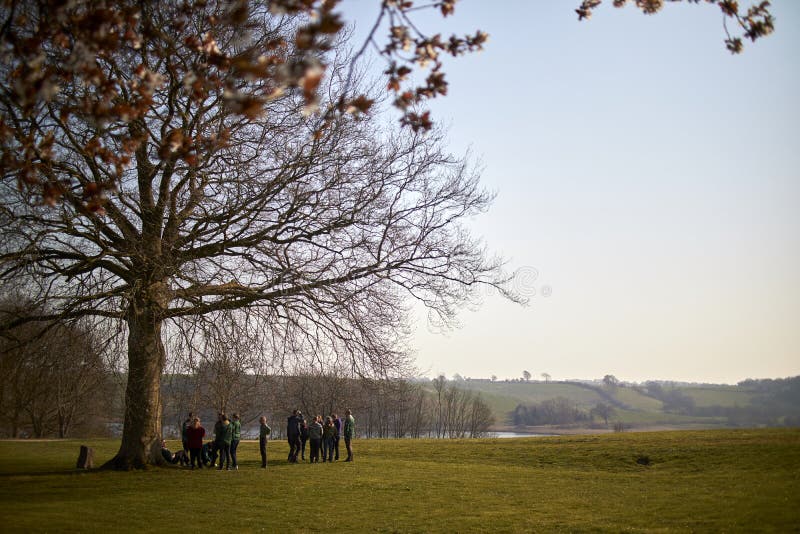 People Talking by a Large Tree on a Field Stock Photo - Image of ...