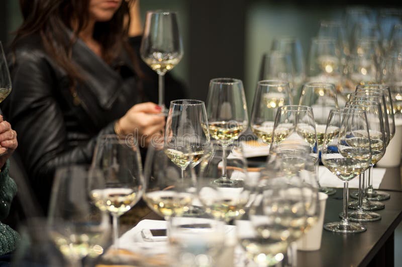 People Tasting White Wine and Making Notes at Degustation Card Stock ...