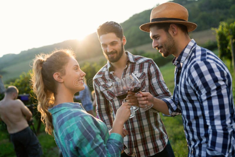 People Tasting Wine in Vineyard Stock Photo - Image of nature, female ...