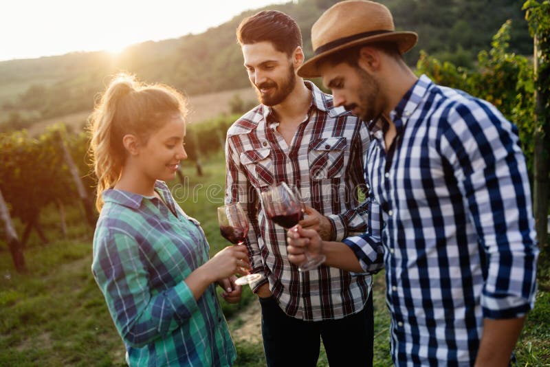 People Tasting Wine in Vineyard Stock Photo - Image of countryside ...