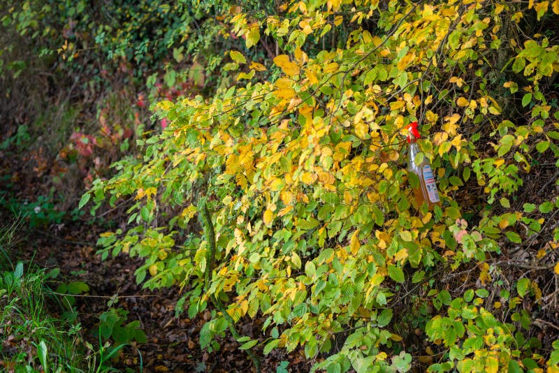 People always Throw Garbage into the Wonderful, Open Nature without ...