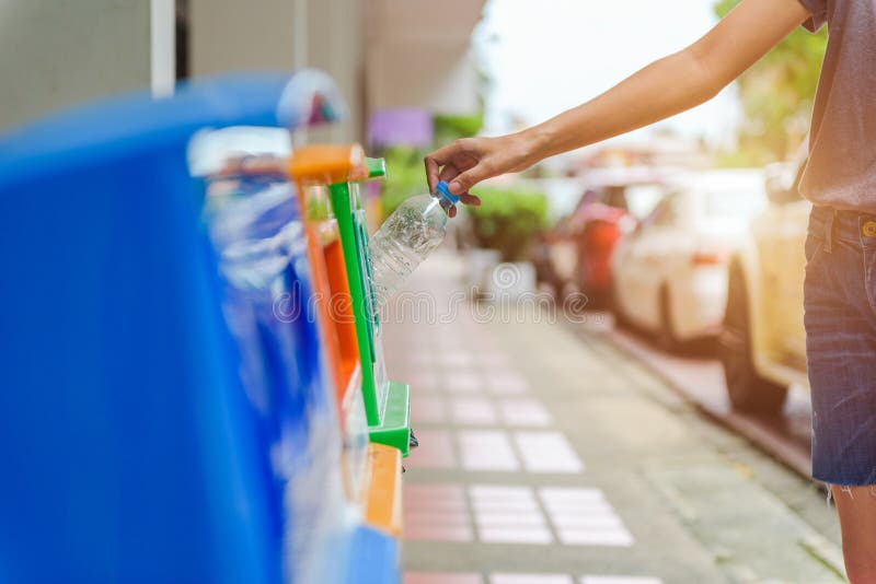 People are Throwing Plastic Bottles into the Recycling Bin. Color Coded ...