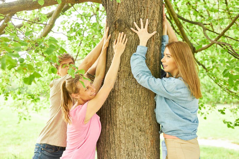 People Touch a Tree and Feel Relaxation Stock Image - Image of ...