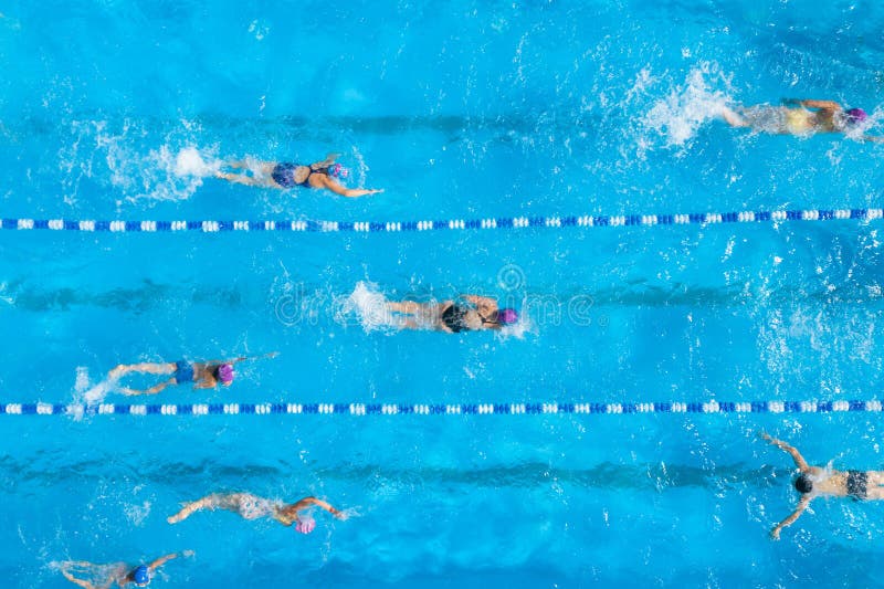 People Training in Swimming Pool, Top View Stock Image - Image of lane ...