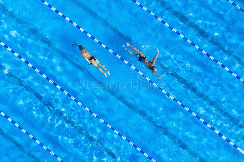 People Training in Swimming Pool, Top View Stock Image - Image of ...