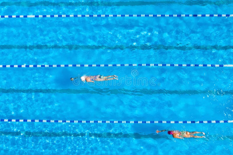 People Training in Swimming Pool, Top View Stock Photo - Image of ...