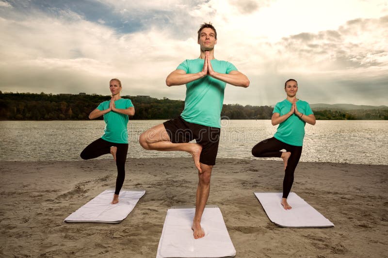 People in tree pose stock image. Image of green, body - 52533727