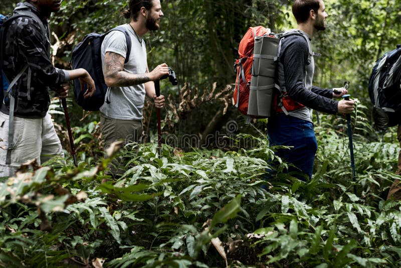 People Trekking in a Forest Stock Photo - Image of american, hiking ...