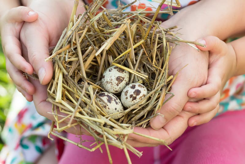 People of Two Generations Holding Nest in Arms Stock Photo - Image of ...