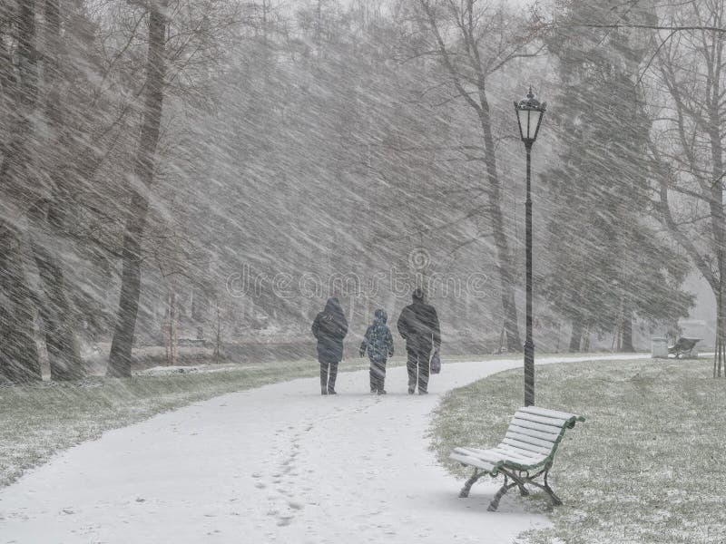 People Under the Snow in Winter Park. Stock Image - Image of scene ...