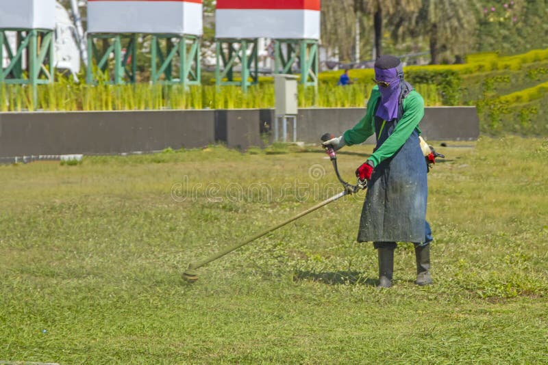 People Using Lawn Mowers on the Lawn Stock Image - Image of grass ...