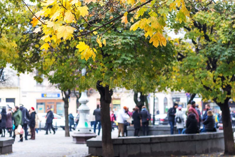 People Walk and Relax in the City Park in the Fall_ Stock Image - Image ...