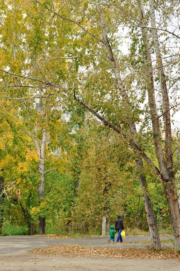 People Walk Under the Big Trees. Stock Image - Image of mother, tall ...