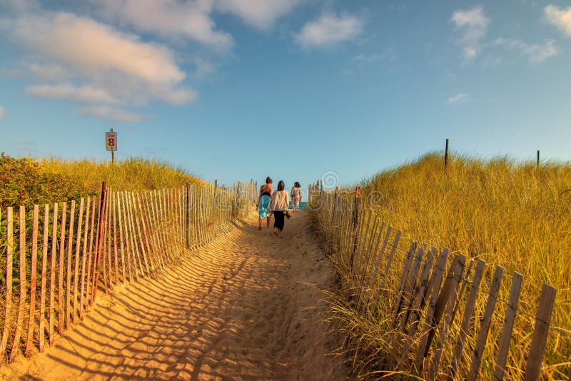 People Walking Along the Sandy Path To the Beach Stock Image - Image of ...
