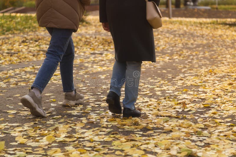 People are Walking Around the Autumn City.a Walk Around the City Stock ...