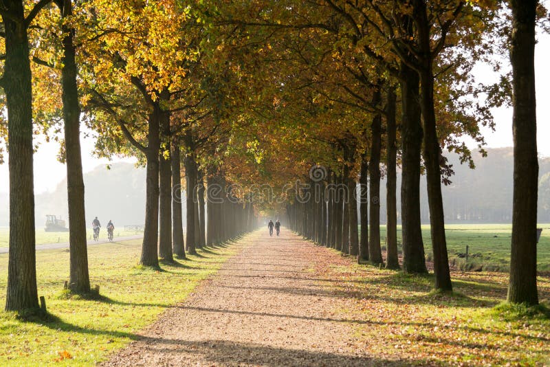 People Walking in Autumn Lane Stock Image - Image of active, activity ...