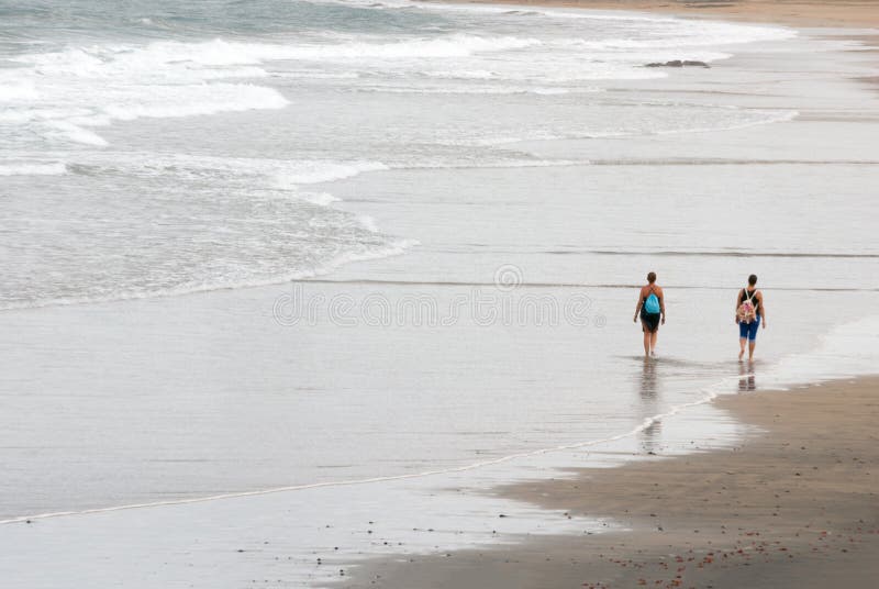 People Walking in the Beach Stock Photo - Image of beach, nature: 77354956
