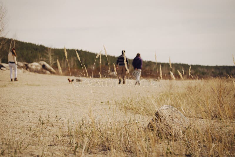 A walk on the cold beach stock photo. Image of borovoe - 229466992