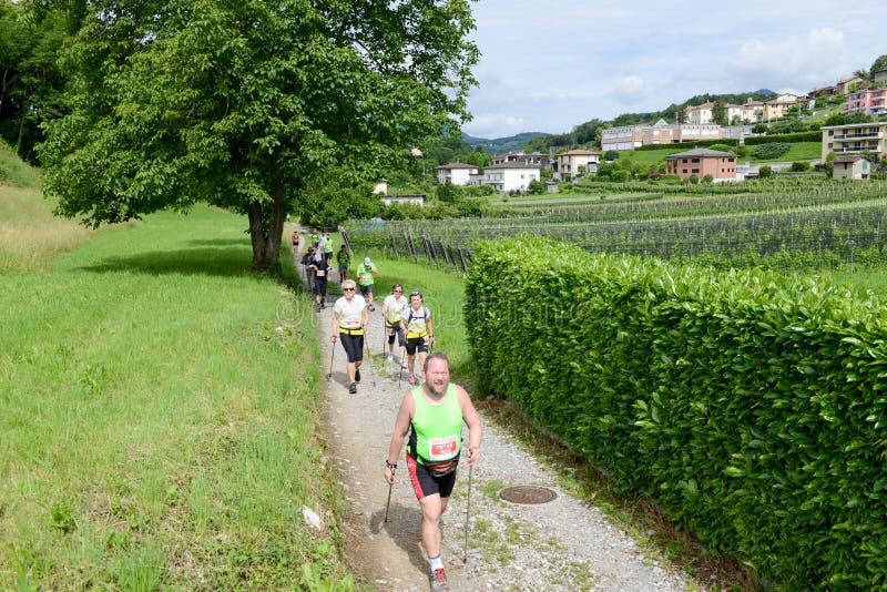People during the Walking Contest of Mendrisio on Switzerland Editorial ...