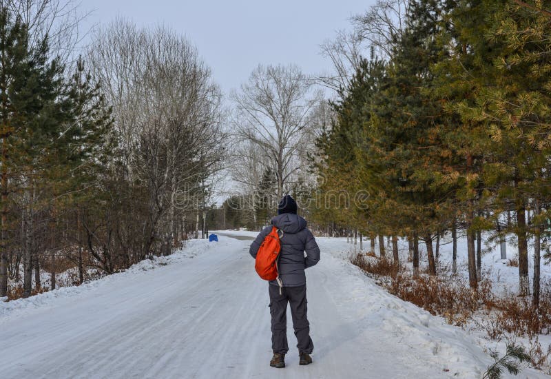 People Walking at Deep Forest in Winter Stock Photo - Image of hiker ...