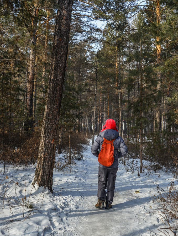 People Walking at Deep Forest in Winter Stock Photo - Image of cold ...