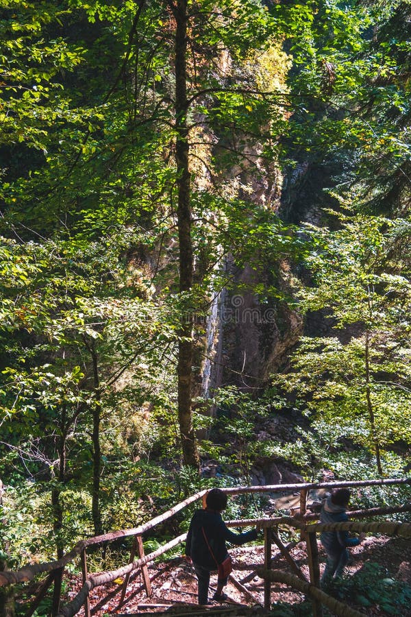 People Walking Down Paths in Mountain Forest Stock Photo - Image of ...