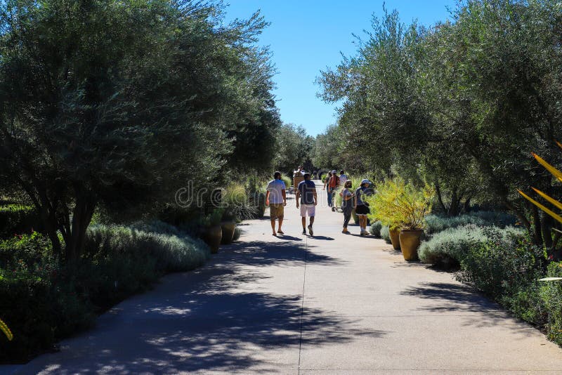 People Walking Down a Smooth Footpath in the Garden Surrounded by Lush ...