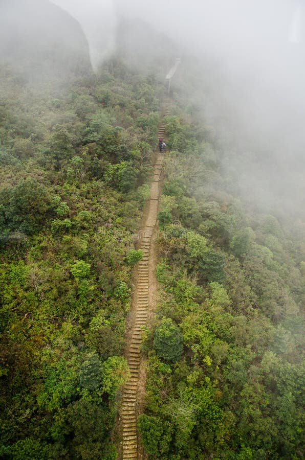 People walking stock image. Image of kong, stair, hong - 38506285