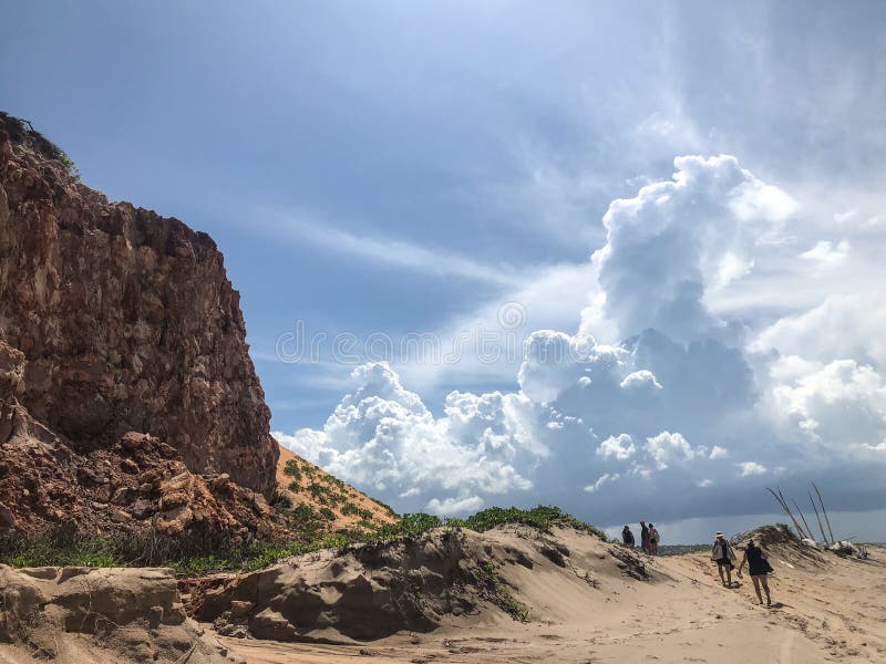Wild Landscape of Northern Brazilian Beaches Editorial Stock Photo ...