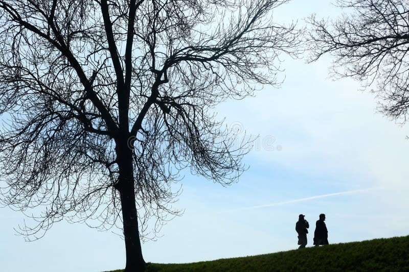 People Walking Outdoors between Trees Stock Image - Image of trees ...
