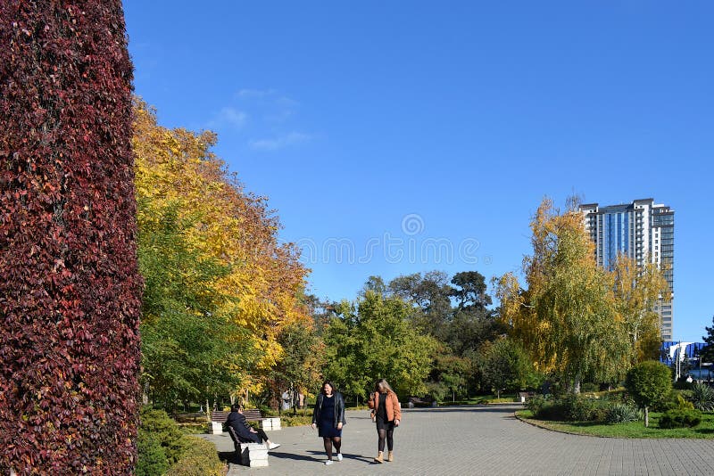 People Walking in the Park in Autumn Stock Image - Image of landscape ...