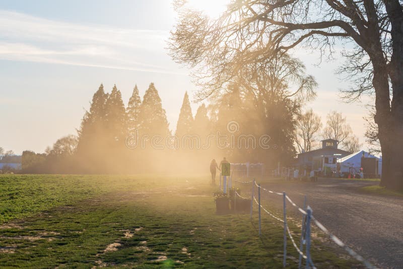 People Walking through a Park Facing the Sun Stock Image - Image of ...