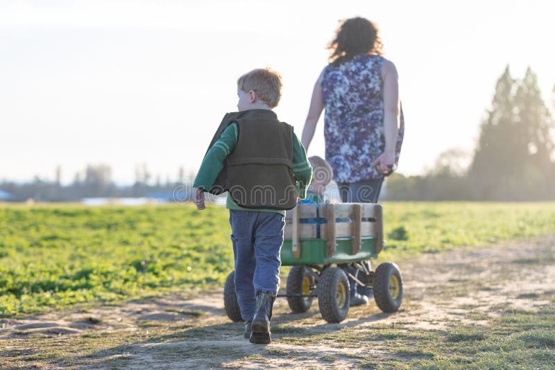 People Walking through a Park Facing the Sun Editorial Stock Image ...