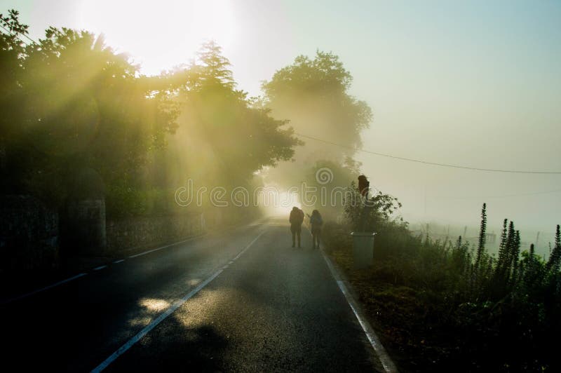 People Walking on a Road Covered with Fog during Daytime Stock Image ...