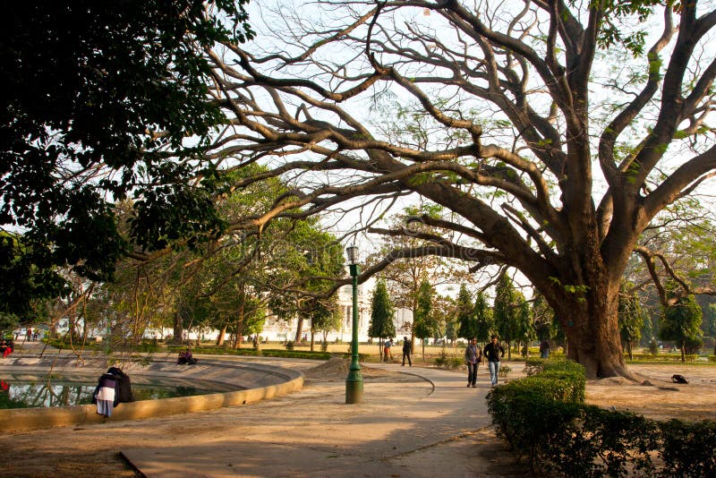 People Walking in the Shadow Garden Editorial Stock Photo - Image of ...