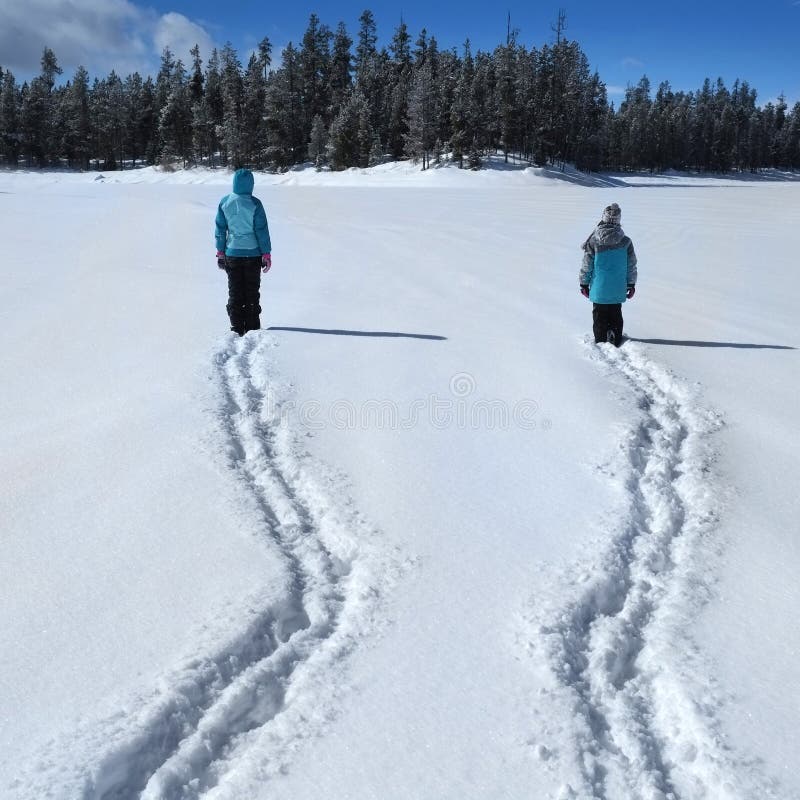 People Walking through Snow in Mountain Wilderness Pine Forest Stock ...