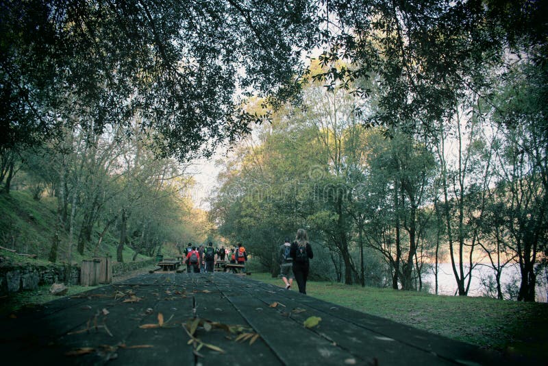 People walking among trees stock photo. Image of walking - 51977806