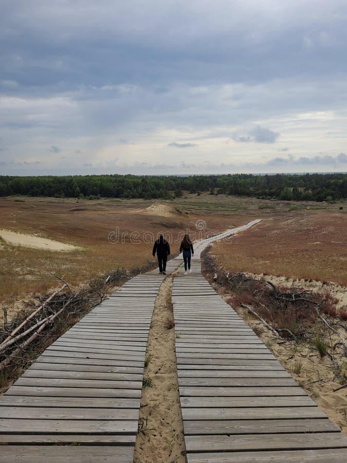 People Walking on a Wooden Path in Dune Stock Image - Image of walk ...