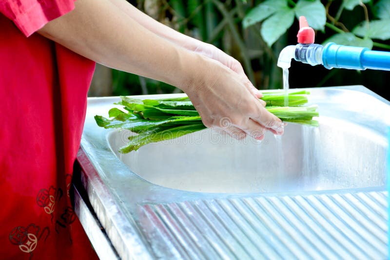 Washing vegetable stock image. Image of motion, ripe - 19502987